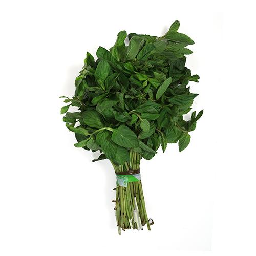 La Torre | Hierbabuena Manojo