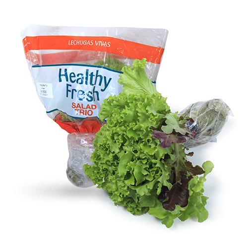 La Torre | Lechuga Ensalada Trio Multifresh Hidropónica